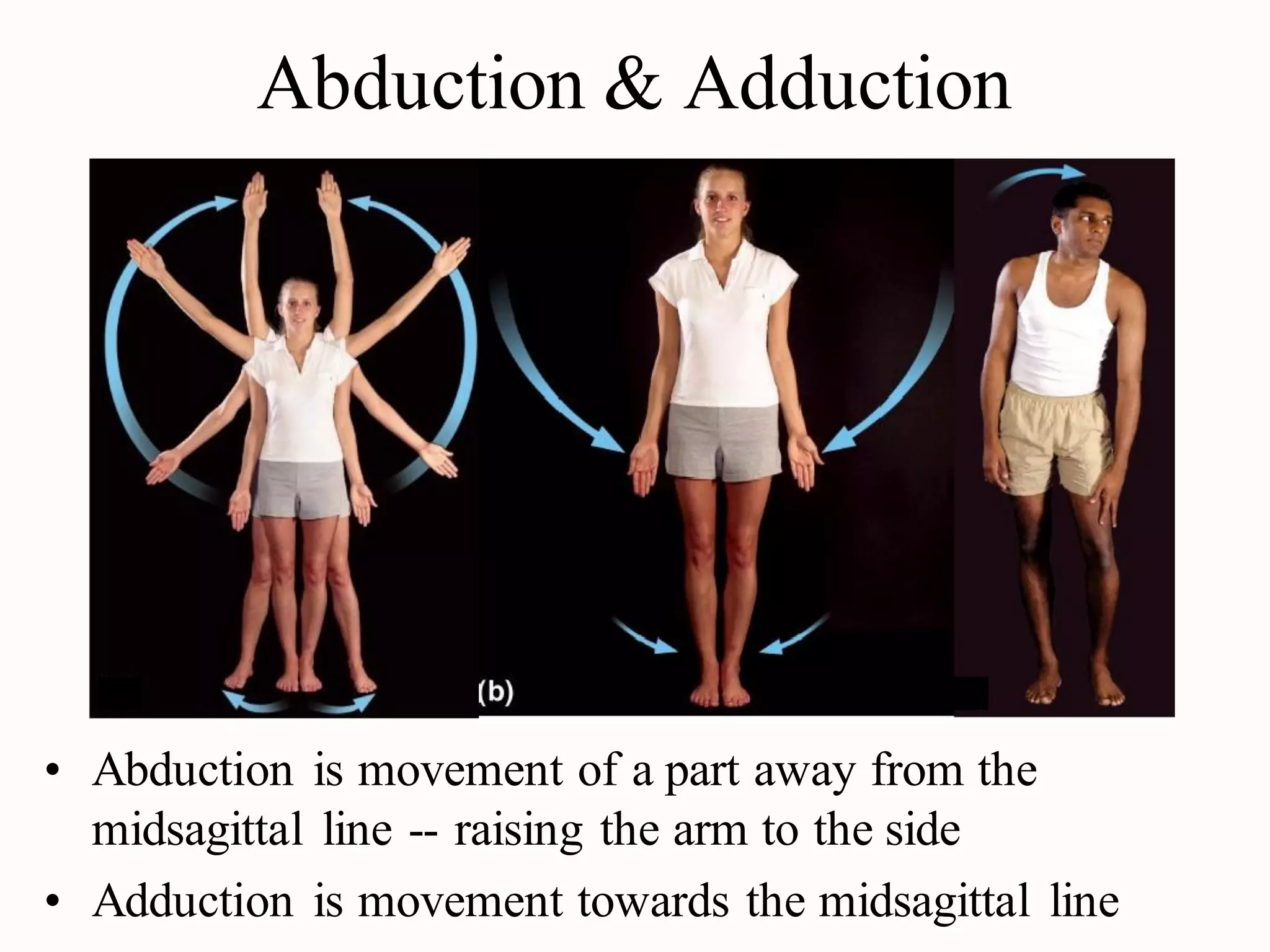 Terminology of movement in anatomy, flexion extension hyperextension ...