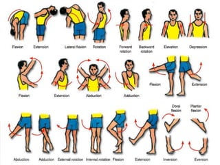 Terminology of movement in anatomy, flexion extension hyperextension ...