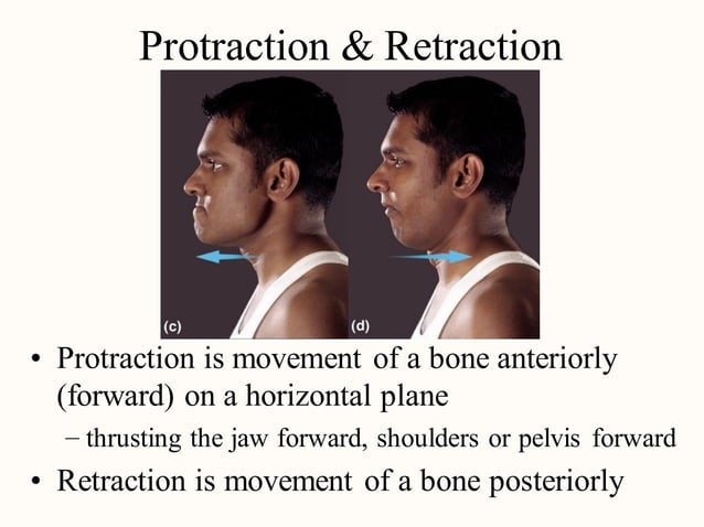 Terminology of movement in anatomy, flexion extension hyperextension ...