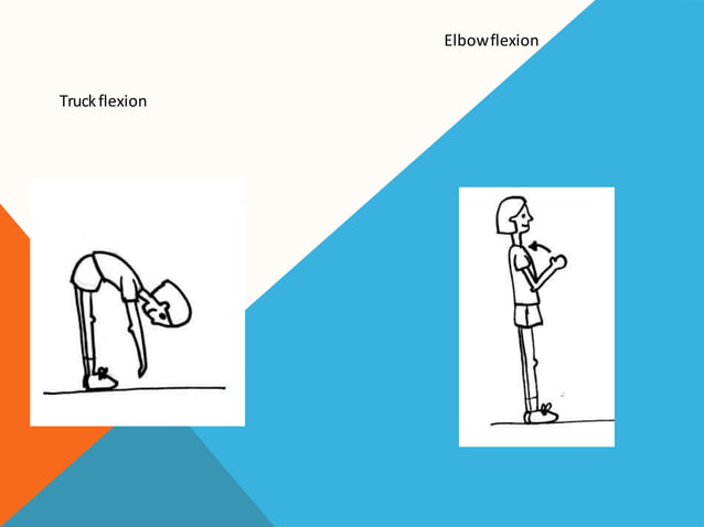Terminology of movement in anatomy, flexion extension hyperextension ...