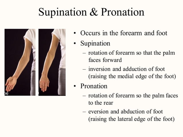 Terminology of movement in anatomy, flexion extension hyperextension ...