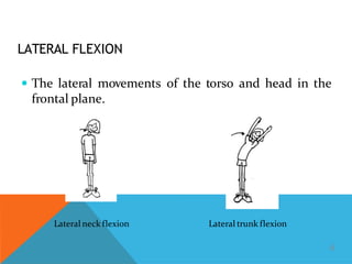 Hyperextension Anatomy