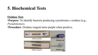 Tests in Microbiology Lab - Microbiology for Lab Technicians | PPT