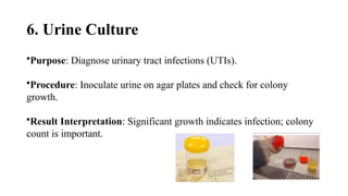 Tests in Microbiology Lab - Microbiology for Lab Technicians | PPTX