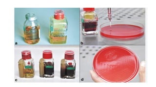 Tests in Microbiology Lab - Microbiology for Lab Technicians | PPTX