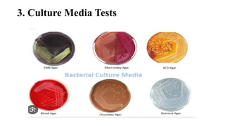 Tests in Microbiology Lab - Microbiology for Lab Technicians | PPTX