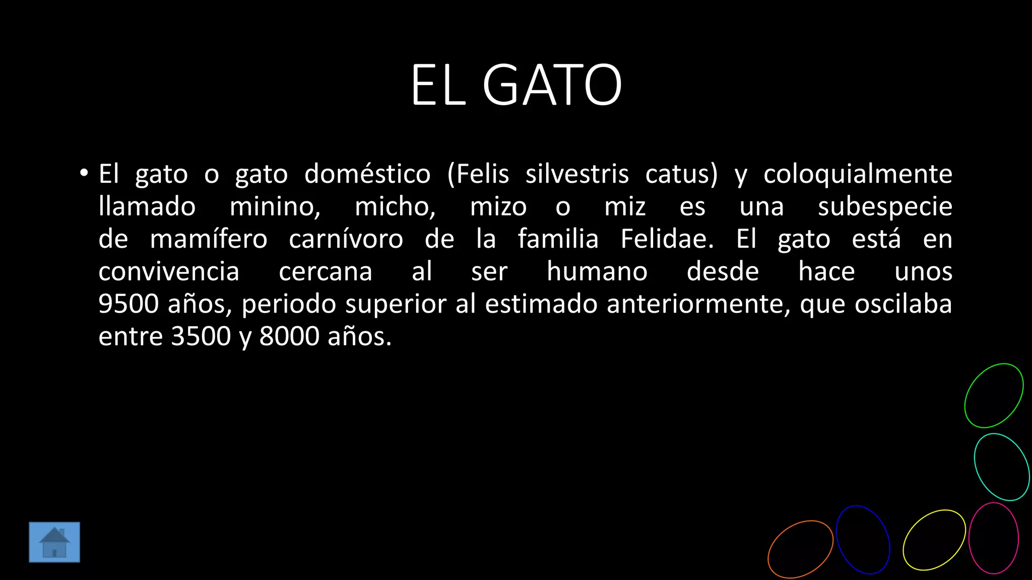 Los gatos | PPT