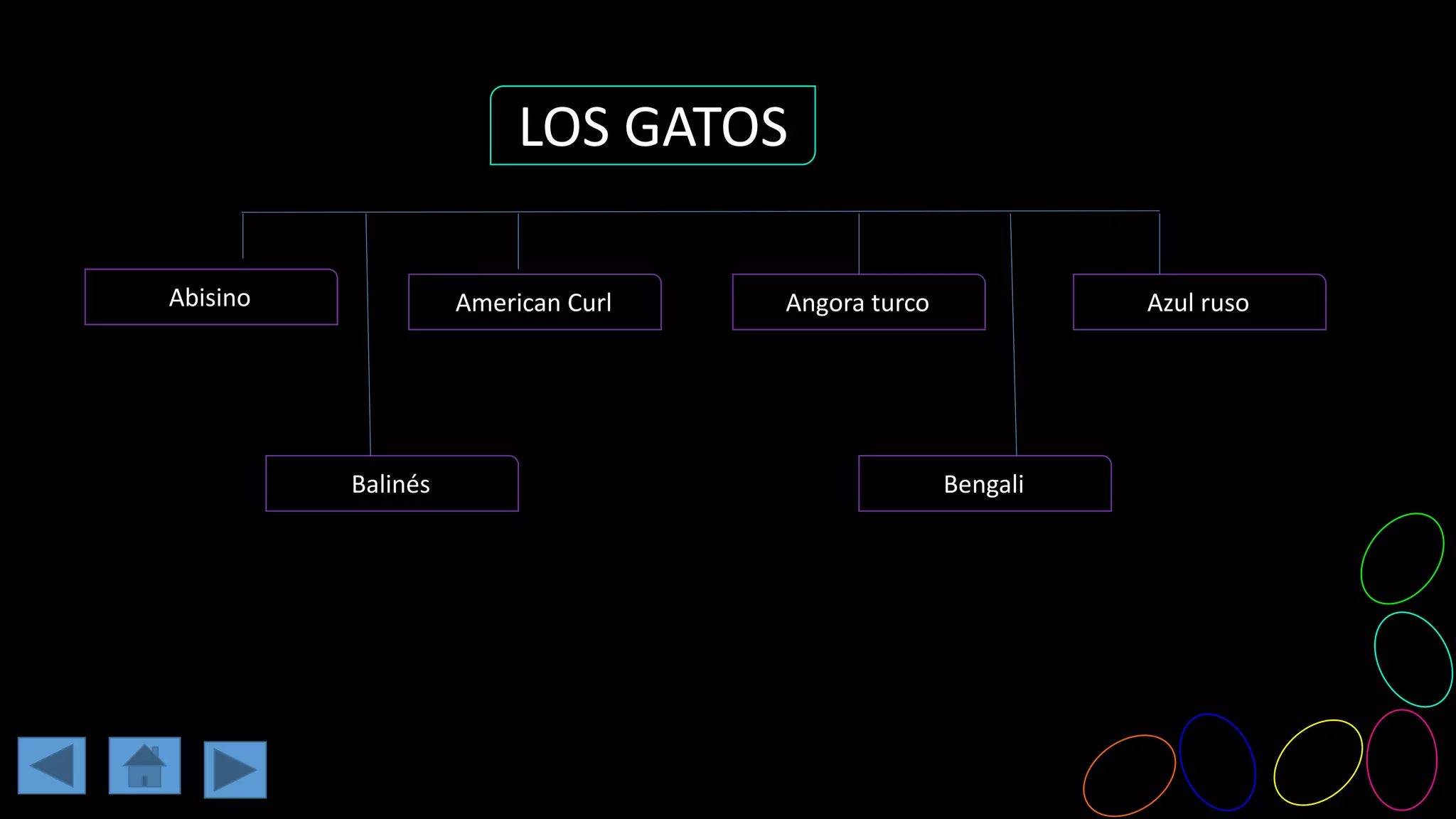 Los gatos | PPT