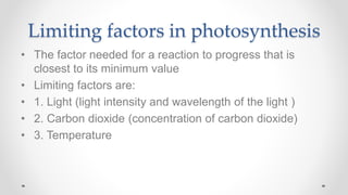 A level Biology-The biochemistry of photosynthesis | PPTX
