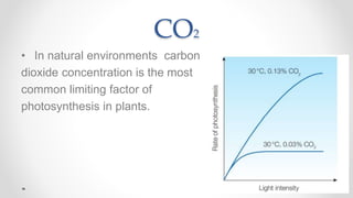 A level Biology-The biochemistry of photosynthesis | PPTX