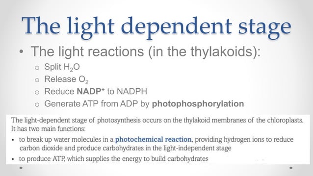 A level Biology-The biochemistry of photosynthesis | PPTX | Chemistry ...
