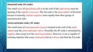 The cardiovascular system.ppsx