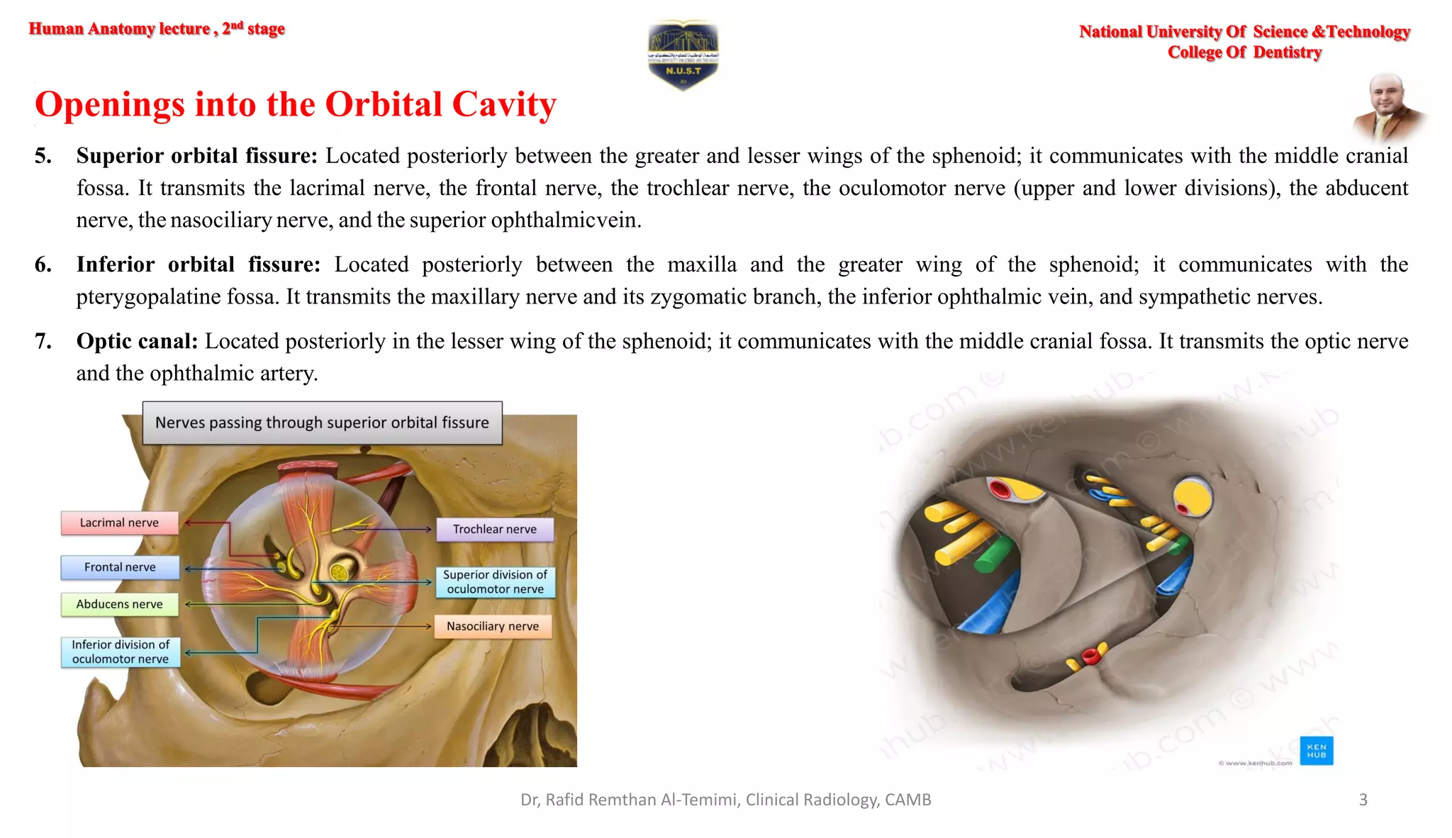 3 The orbital region part 2.pdf