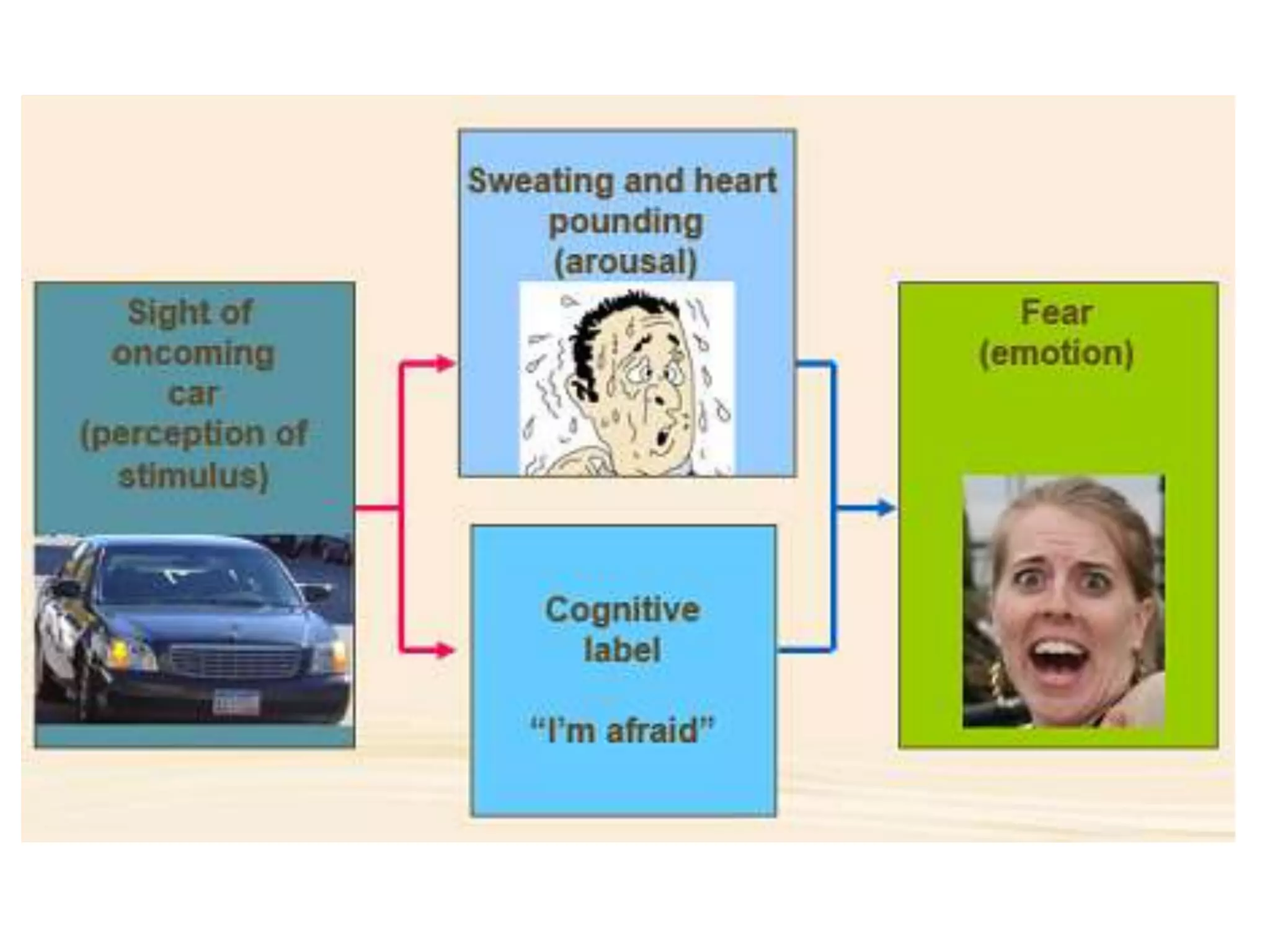 3 Emotional Theories | PPTX