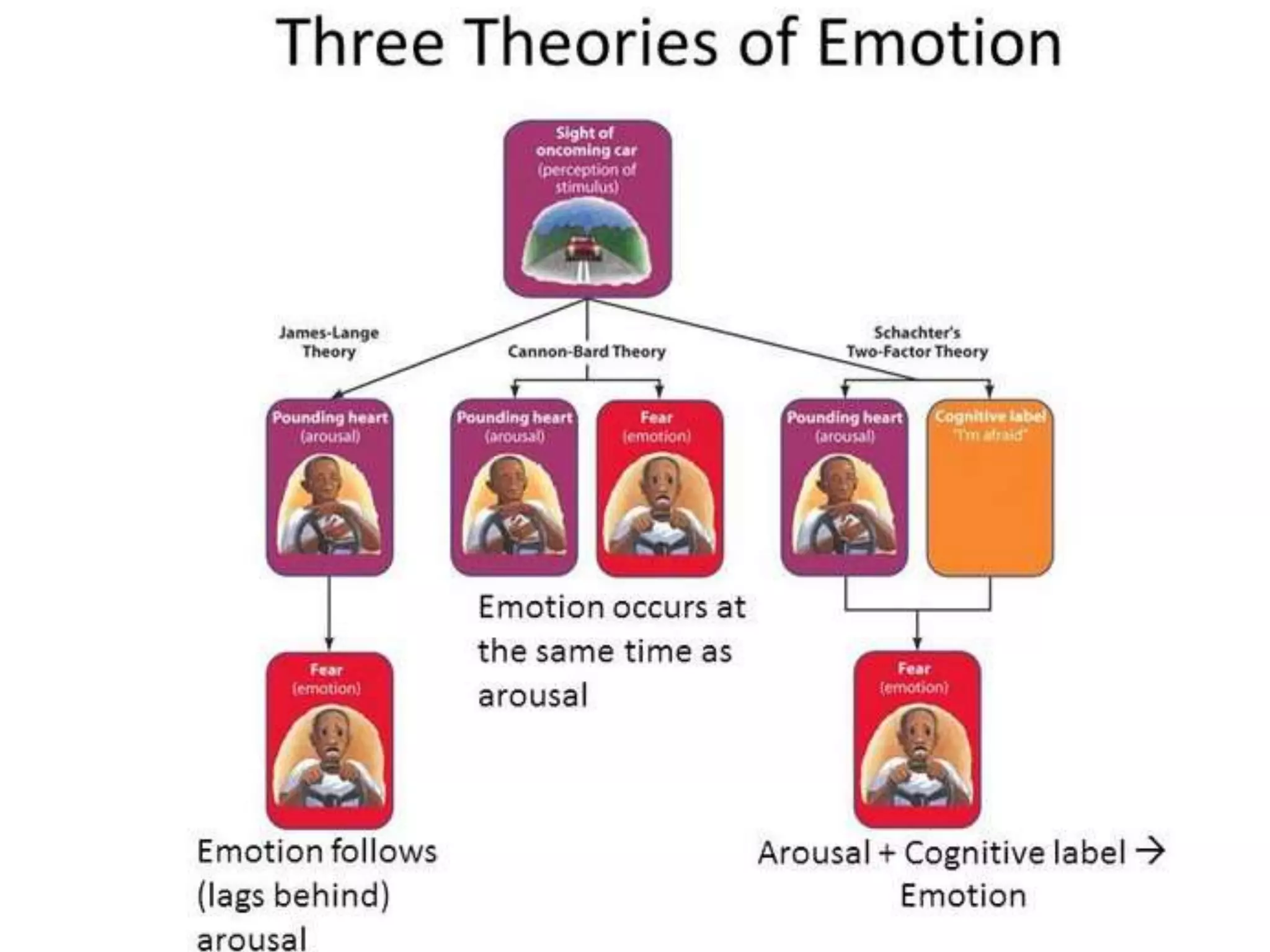 3 Emotional Theories | PPTX