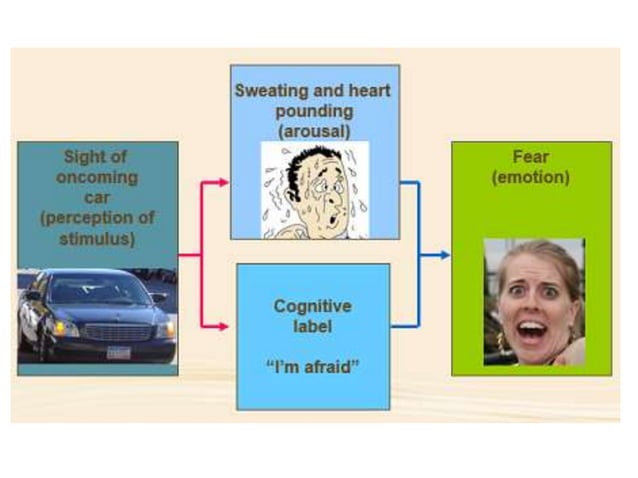 3 Emotional Theories | PPTX