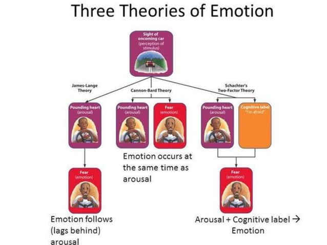 3 Emotional Theories | PPTX