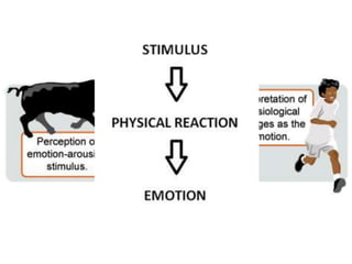 3 Emotional Theories | PPTX