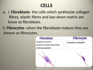 Tissue Types & Structures and functions | PPT