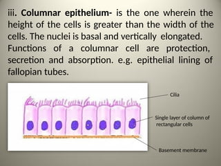 Tissue Types & Structures and functions | PPT