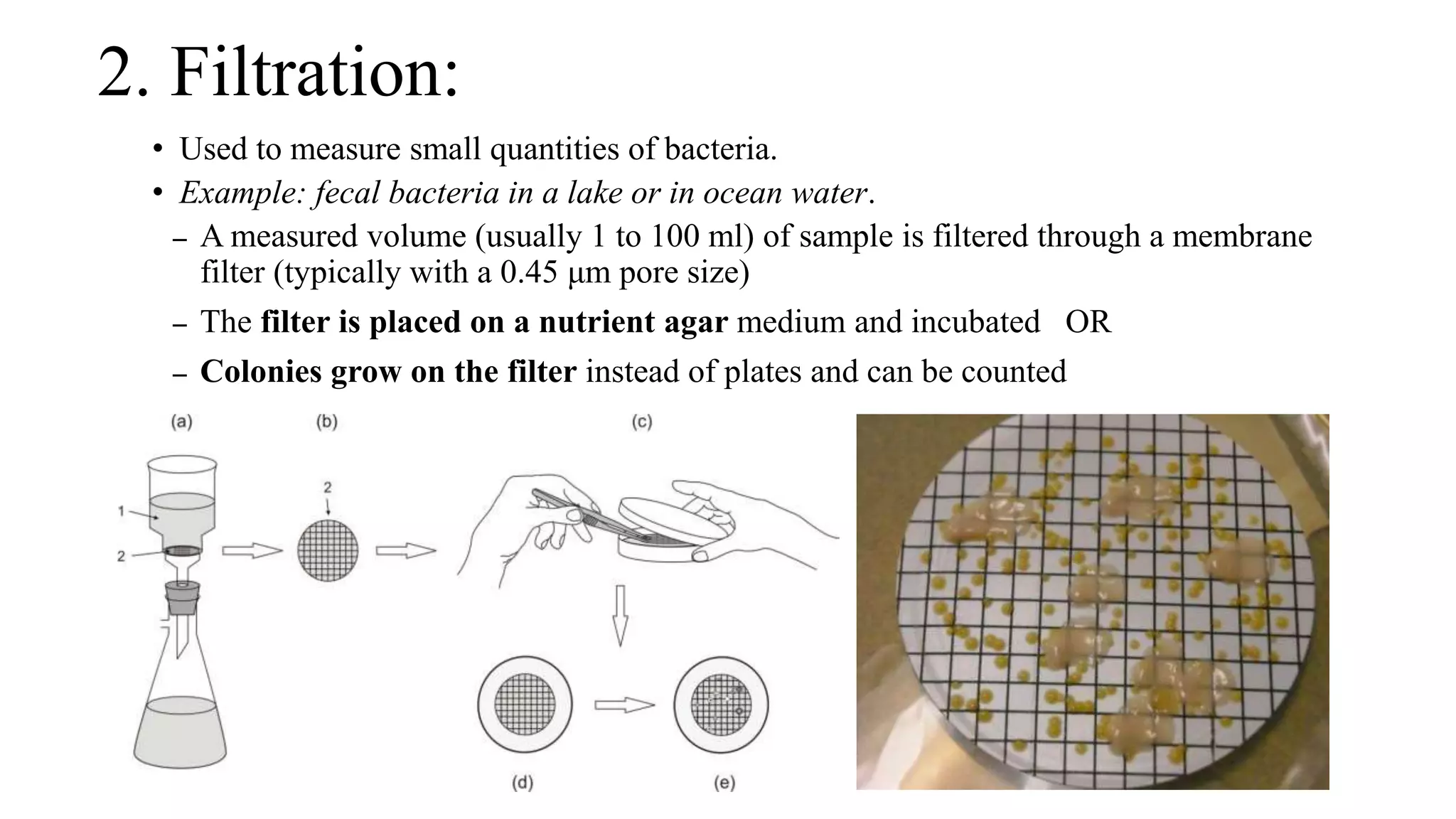 3 third lecture Microbial growth | PPTX