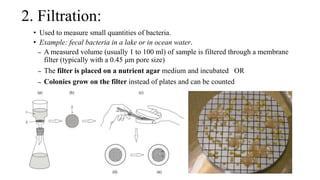 3 third lecture Microbial growth | PPT
