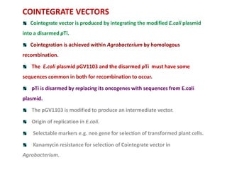 Ti plasmid as a vector, | PPTX