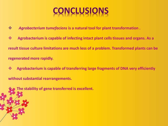 Ti plasmid as a vector, | PPTX | Biotech and Biomedical Industry ...