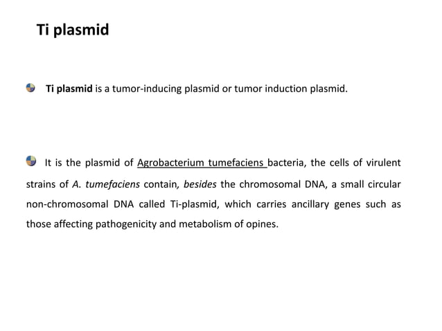 Ti plasmid as a vector, | PPTX | Biotech and Biomedical Industry ...