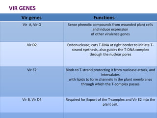 Ti plasmid as a vector, | PPTX