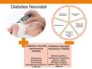 3) Tipos de diabetes Mellitus. Medici.pptx