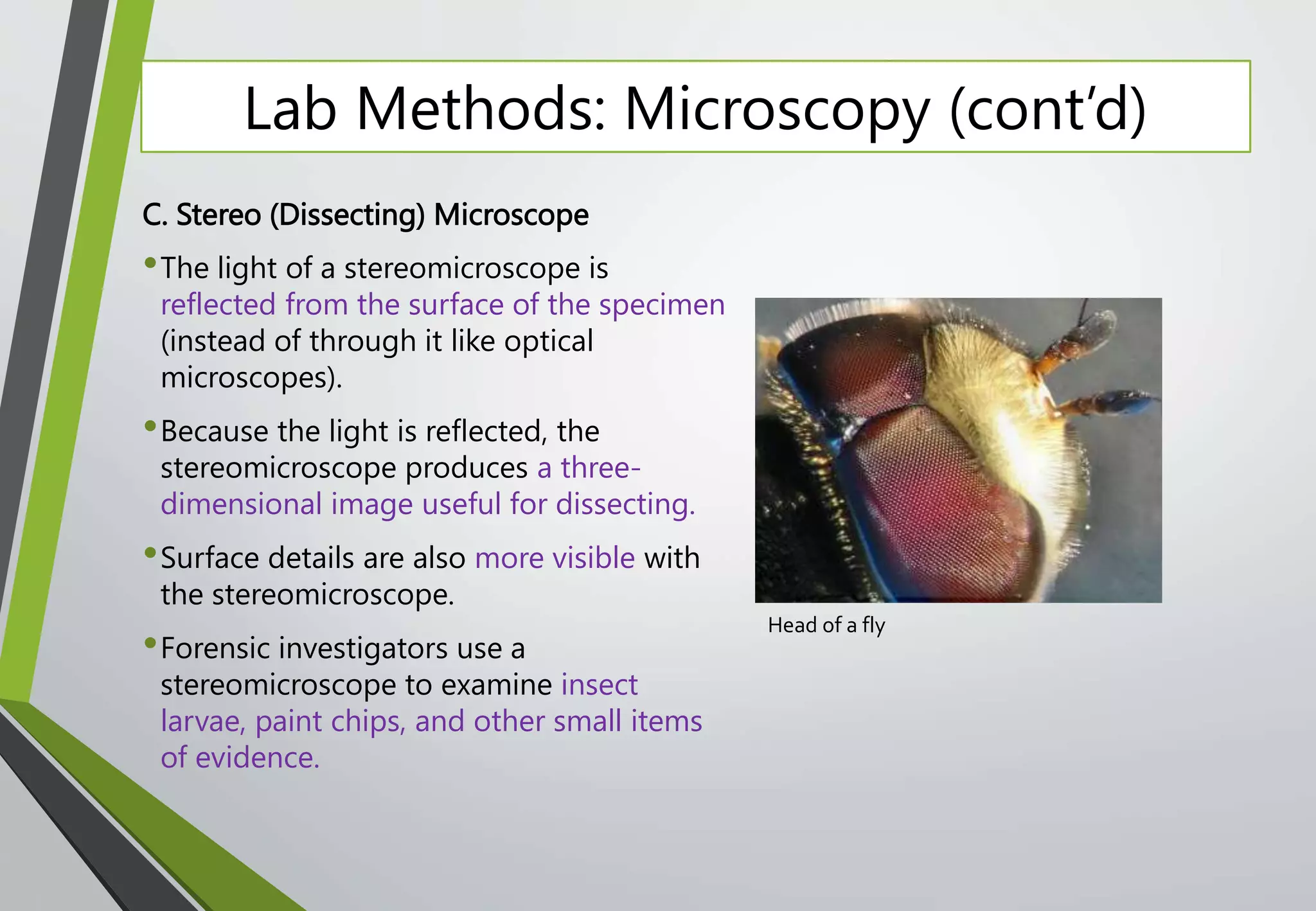 3 TOPIC3 Forensic Laboratory Techniques SUN.pptx