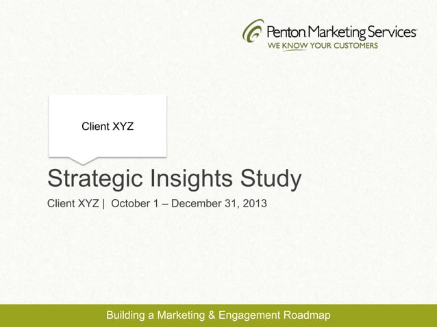 Strategic Insights Study Audience Insights Sample | PPT