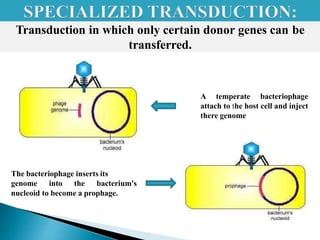 Transduction | PPTX