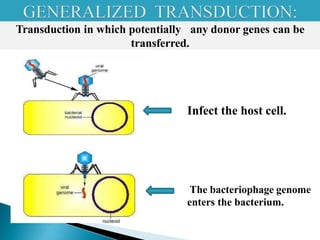 Transduction | PPTX