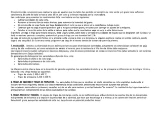 3 trigo cultivo | PDF