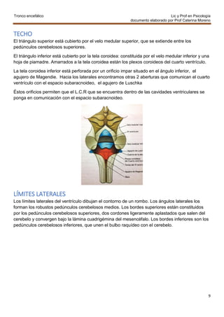 3 tronco encefalico | PDF