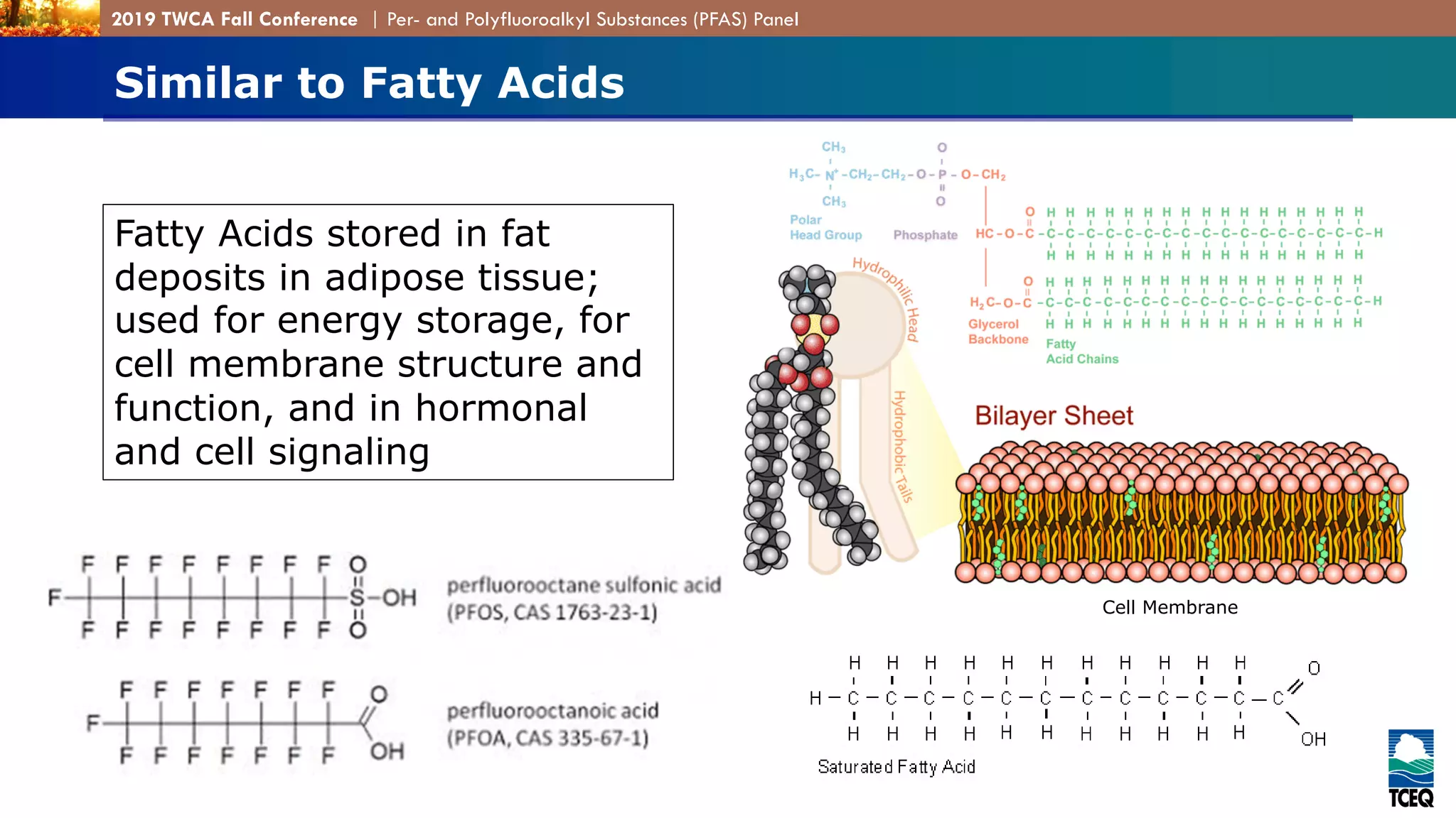 Per- and Polyfluoroalkyl Substances (PFAS) Panel - Michael Honeycutt ...