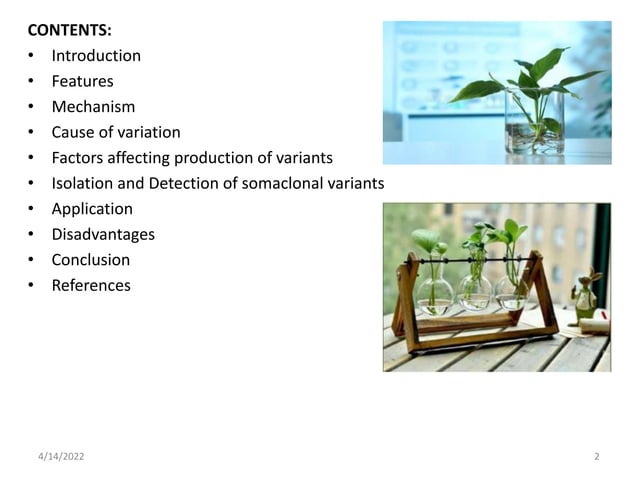 Somaclonal_and_gametoclonal_varition_for_crop_improvement.pptx