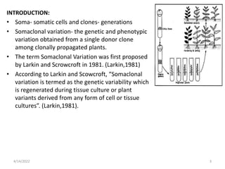 Somaclonal_and_gametoclonal_varition_for_crop_improvement.pptx