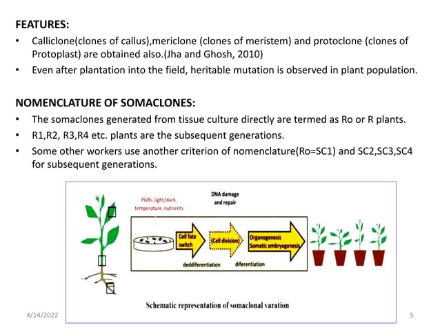 Somaclonal_and_gametoclonal_varition_for_crop_improvement.pptx