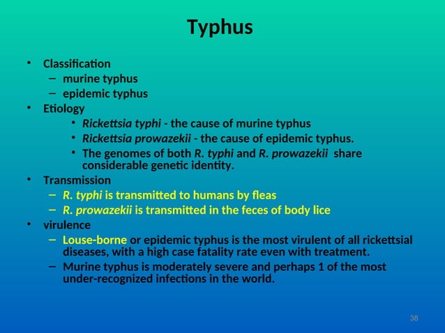 3=Typhoid Fever, typhus,Relapsin Fever.ppt
