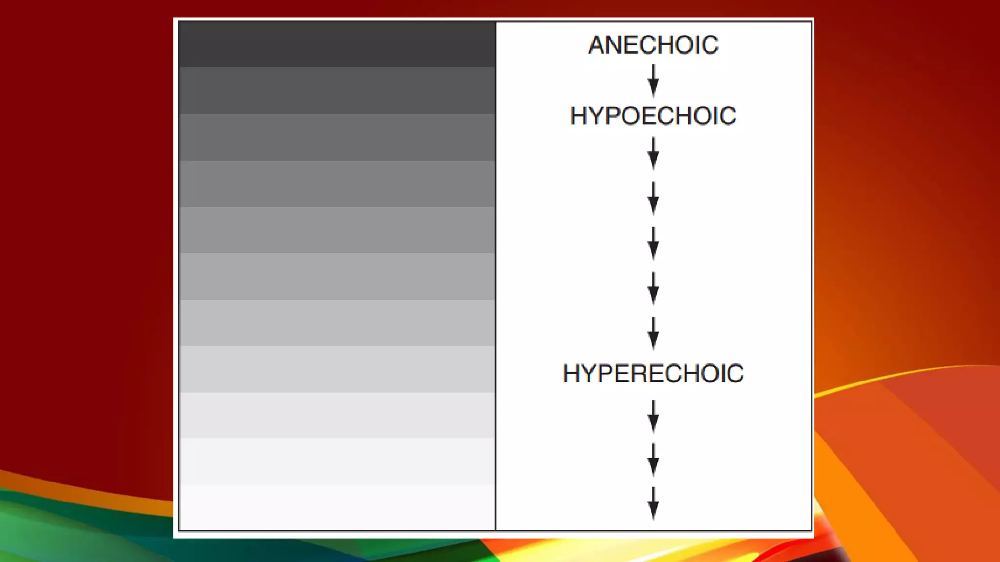 3 ultrasound nomenclature | PPTX