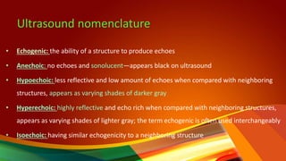 3 ultrasound nomenclature | PPTX