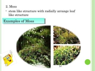 3 ustclsputaxonomy | PPT