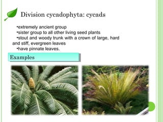 3 ustclsputaxonomy | PPT