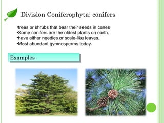 3 ustclsputaxonomy | PPT