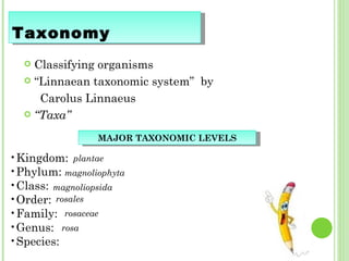 3 ustclsputaxonomy | PPT