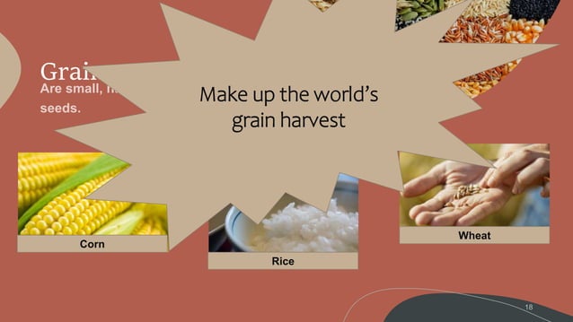 Grains_Grasses_and_Legumes.pptx