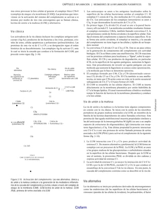 Patologia_-_Rubin_6a.pdf